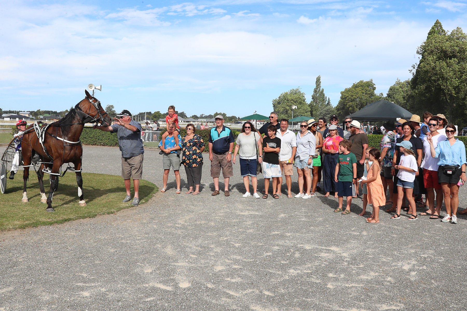 Sutorius & Stuart-bred Dennis Denuto defies all the odds | News - NZSBA
