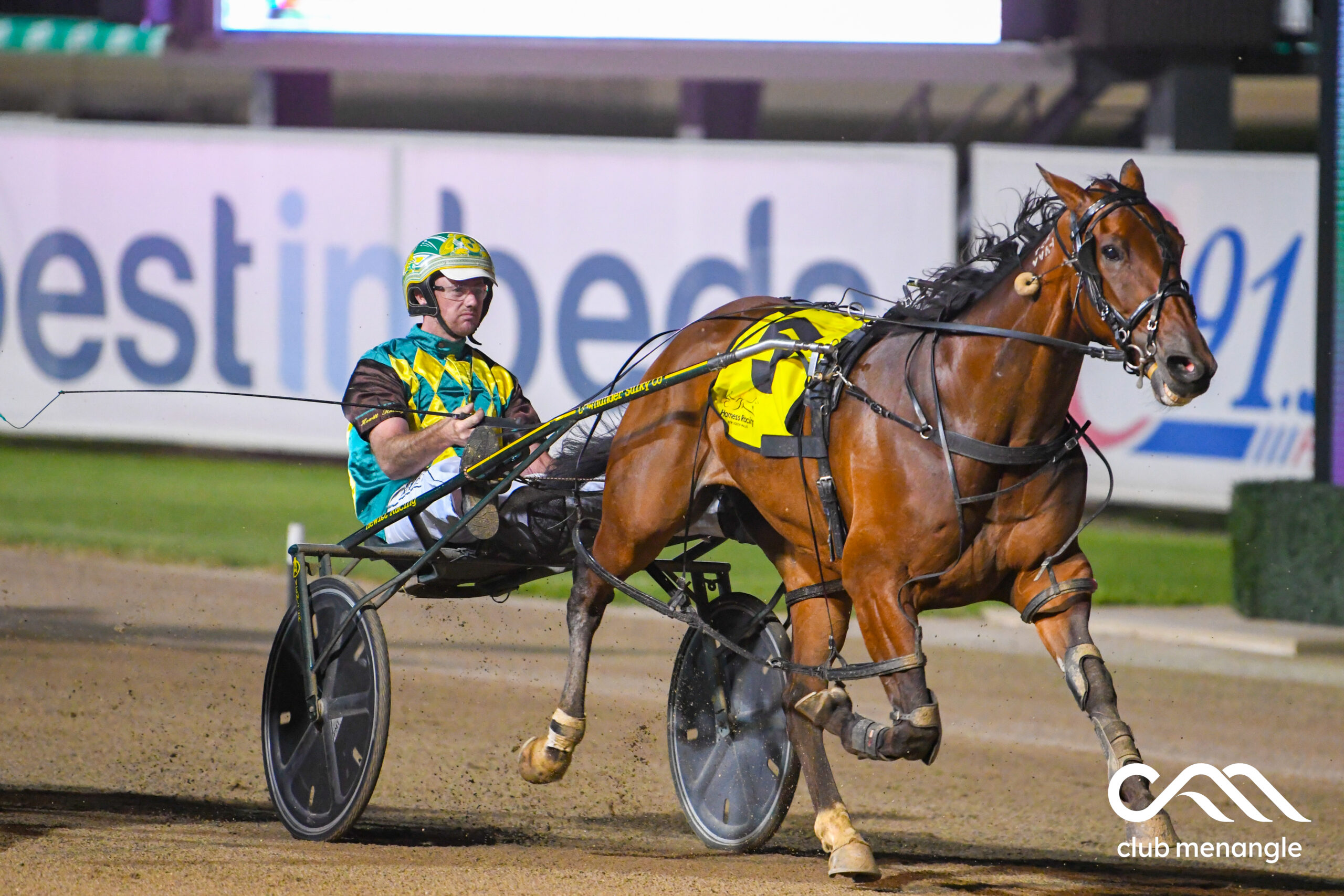 Taipo terrific but only second best | News - NZSBA