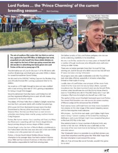 Lord Forbes - the 'Prince Charming' of Breeding Season | News - NZSBA